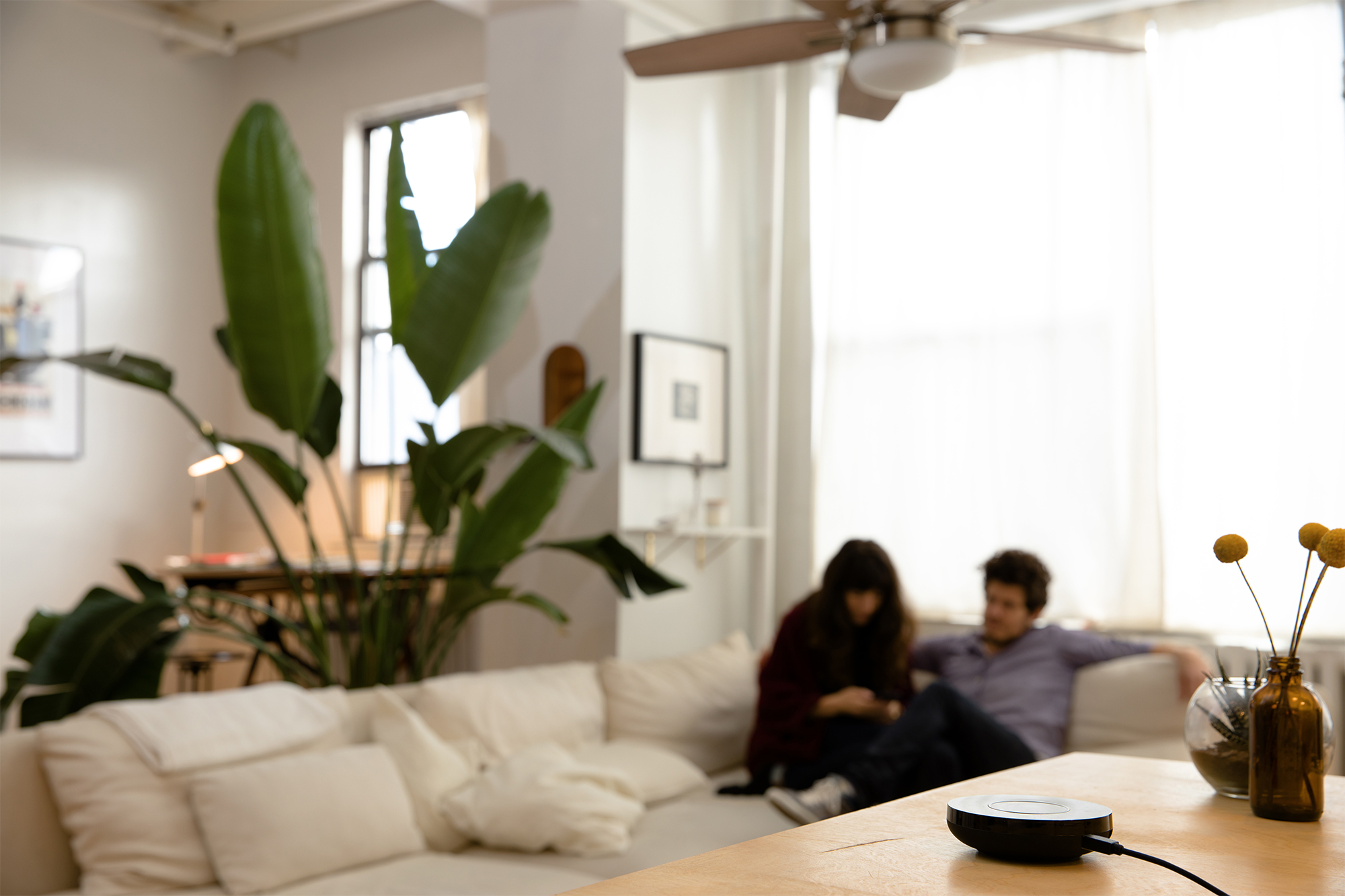 Bond Bridge Online Assets | Bond